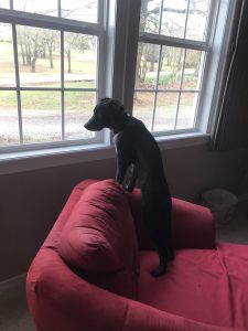 Panko – Ken The Fit Guy